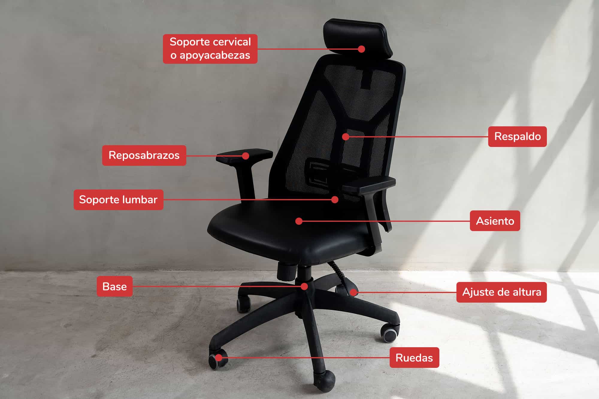 [Guía completa] ¿Cómo elegir la silla de escritorio ideal?